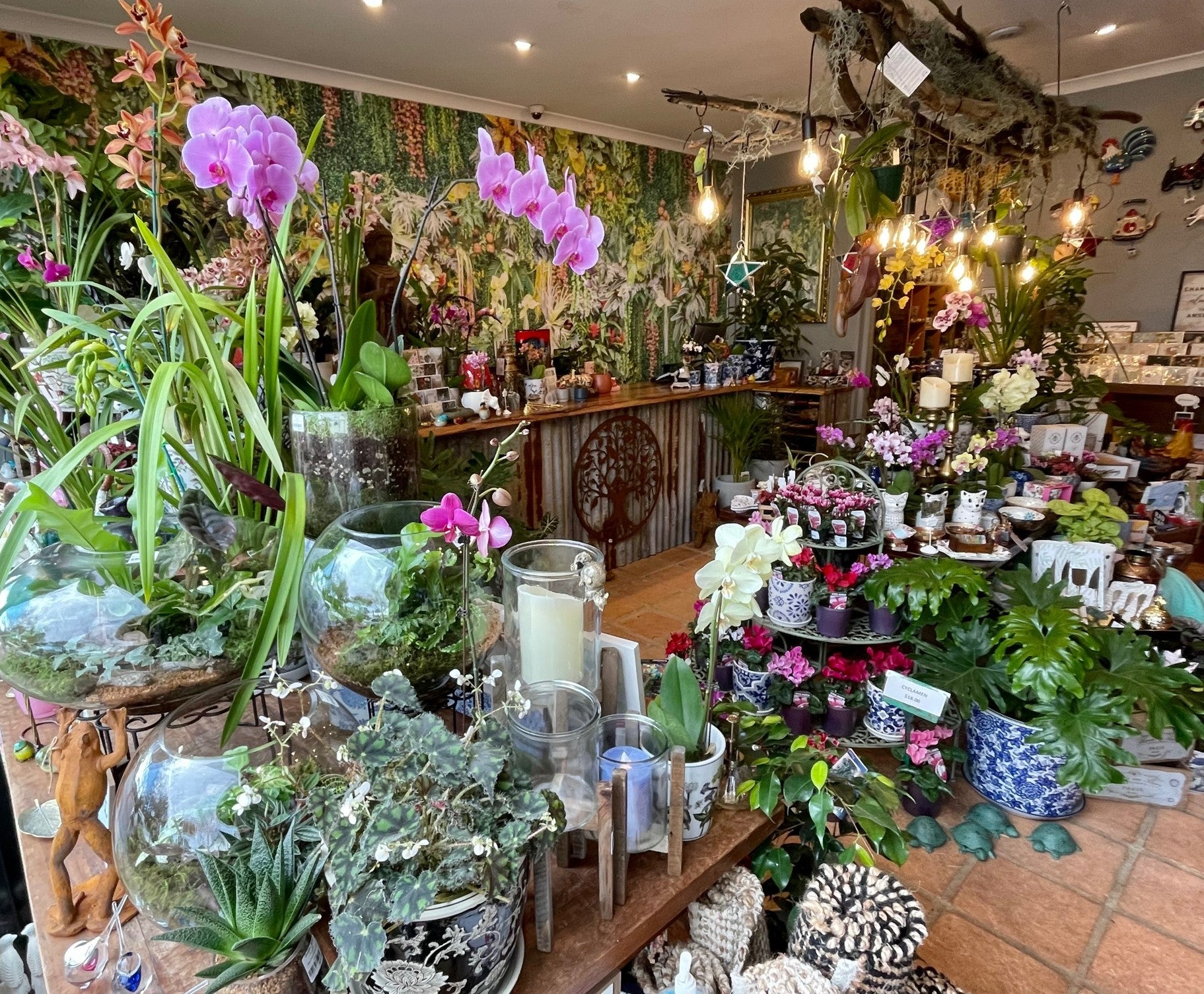 Gifts & Homewares – Tagged "Category_Pots"– Garden Affair a Living Gift