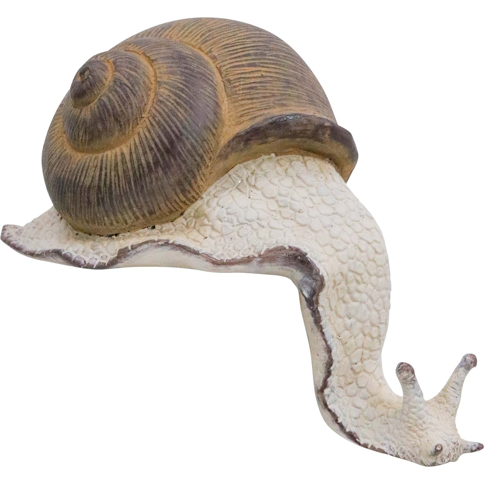 LEDGE SNAIL – Garden Affair a Living Gift